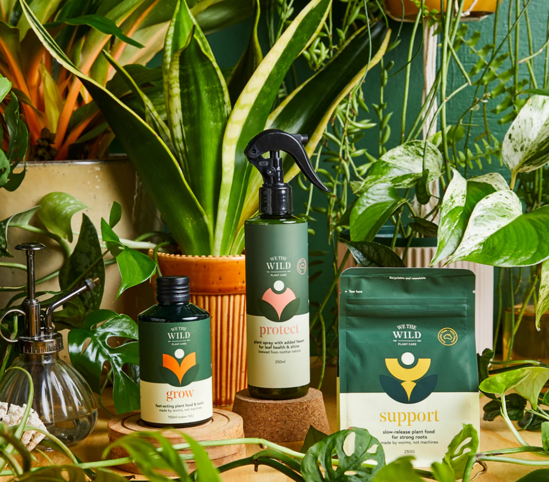 We The Wild — Powerhouse Shop